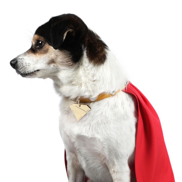 Krypto Dog Cape Cosplay Costume Pet Clothing Halloween Suit - CCosplay.com