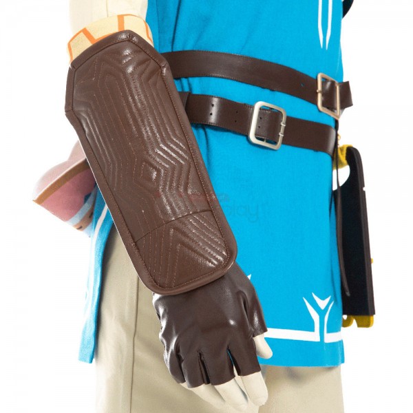 Link Costume The Legend of Zelda Breath of The Wild Link Cosplay Suit ...