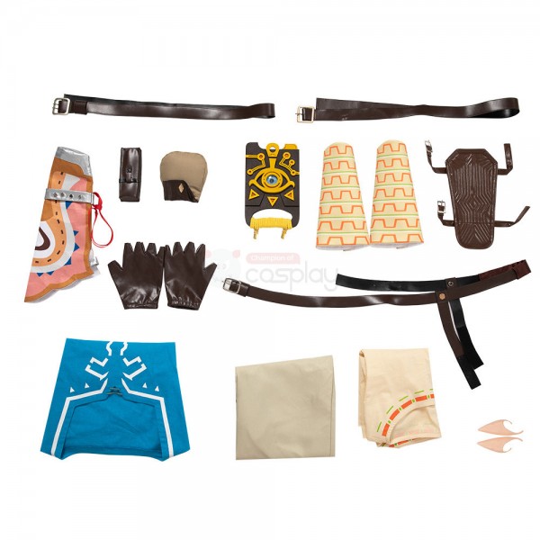 Link Costume The Legend of Zelda Breath of The Wild Link Cosplay Suit ...